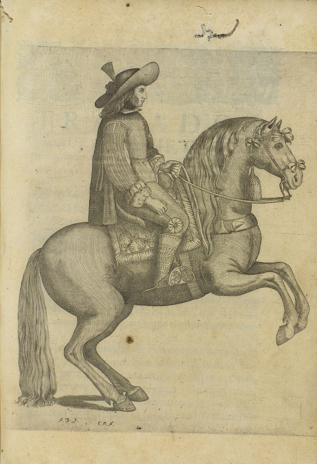 “A la brida” e “a la gineta”. Diverse tecniche equestri nel tardo ...